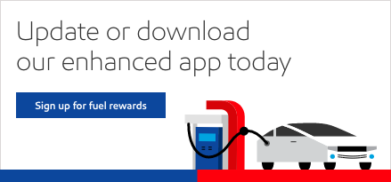 Shop Your Way Rewards Balance